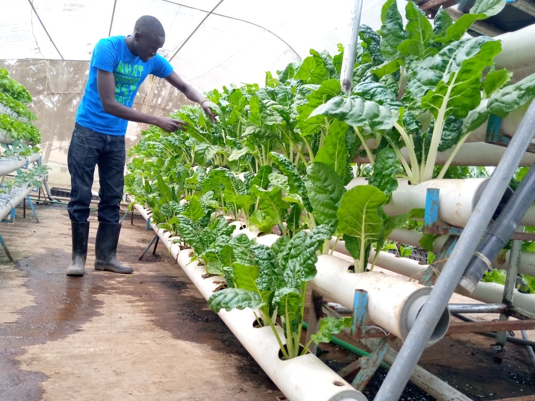 NEW HOMEPAGE - Responsive Drip Irrigation