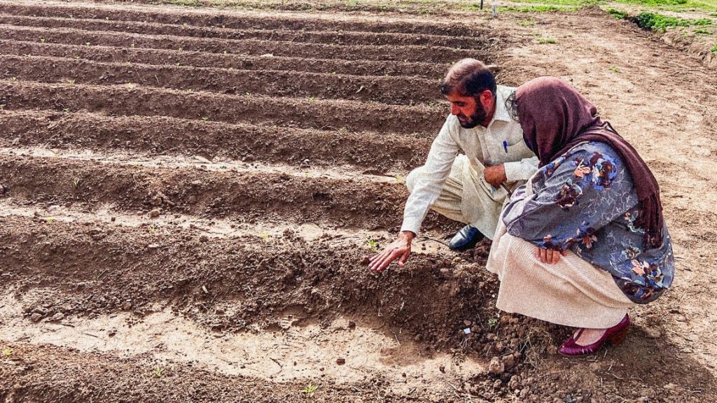 NEWS AND POST - Responsive Drip Irrigation